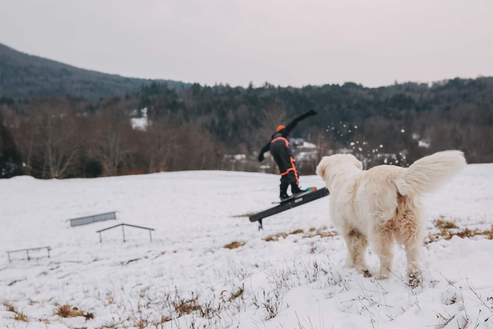 Terrain Park For Snowboarding at Chloe Dunbar blog