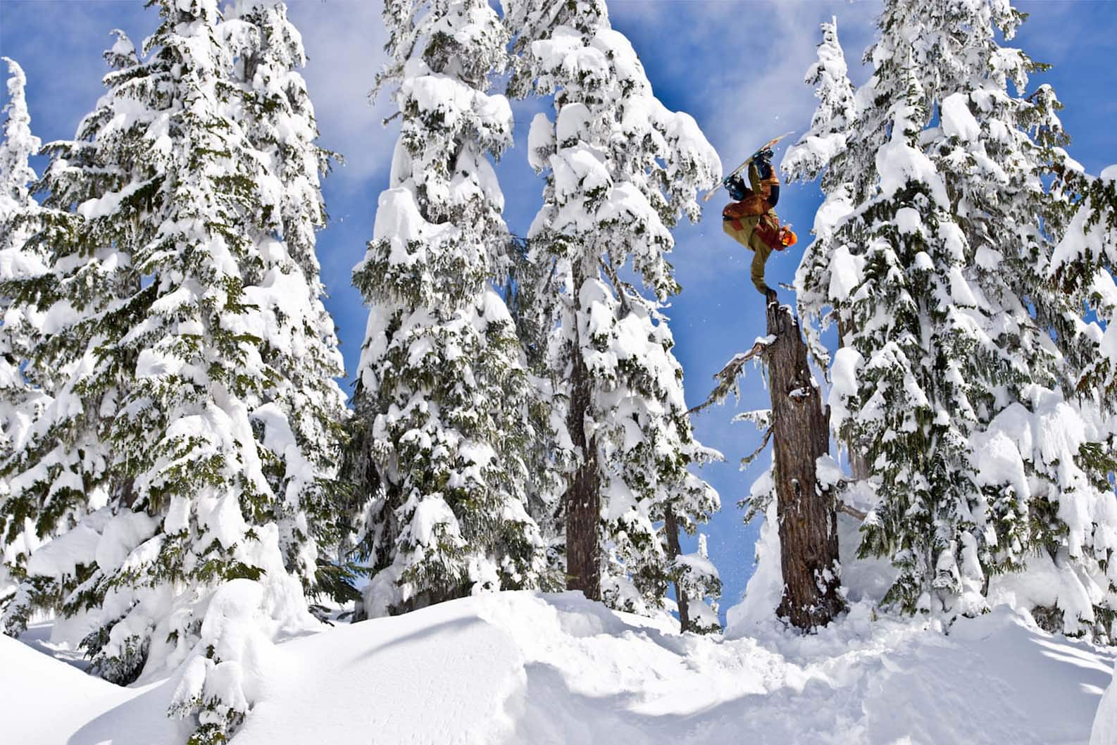 What is Burton Analog? | Burton Snowboards